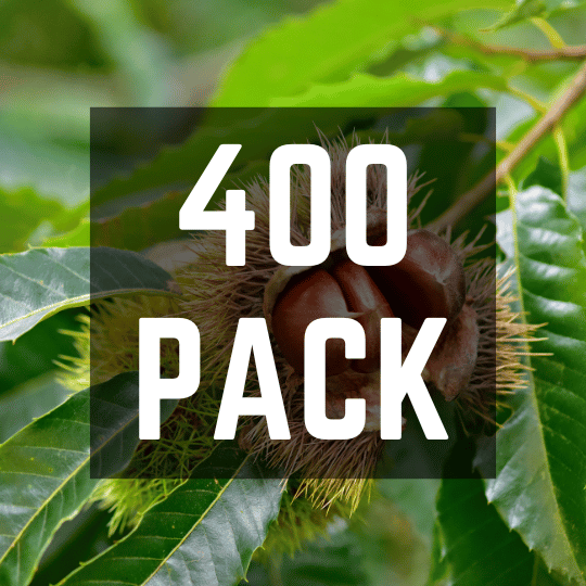 Hybrid Chestnut Bulk Pack (400 Trees) – Whitetail Hill Chestnuts
