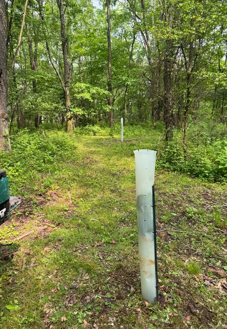 Shop – Whitetail Hill Chestnuts